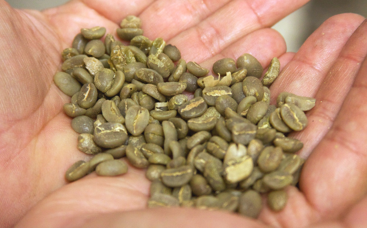 10 Most Expensive Coffees in the World…and Where to Buy Them!